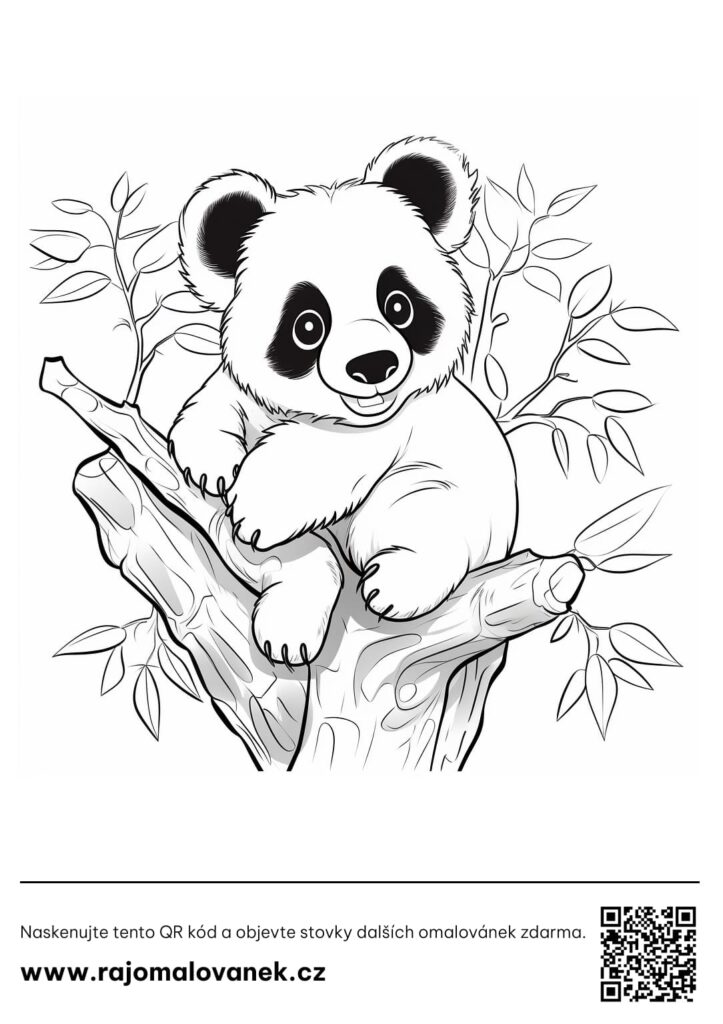 Páginas para colorear de pandas: ¡imprime gratis y colorea!